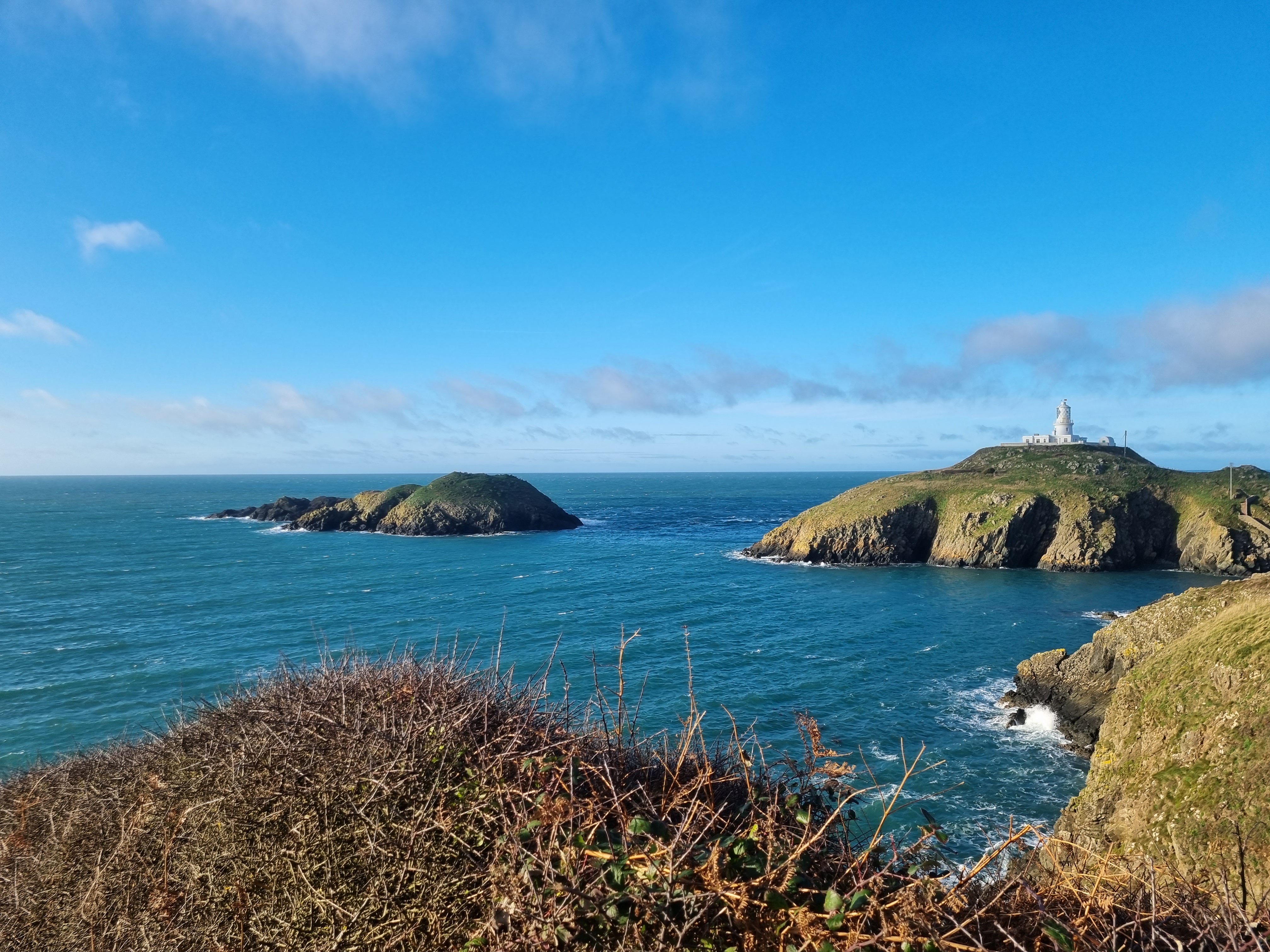 The end of my travels – Steve Mandy